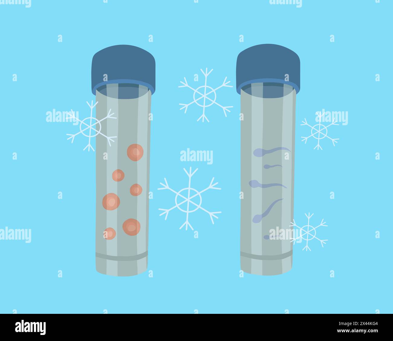 Vector isolated illustration of egg and sperm freezing ...