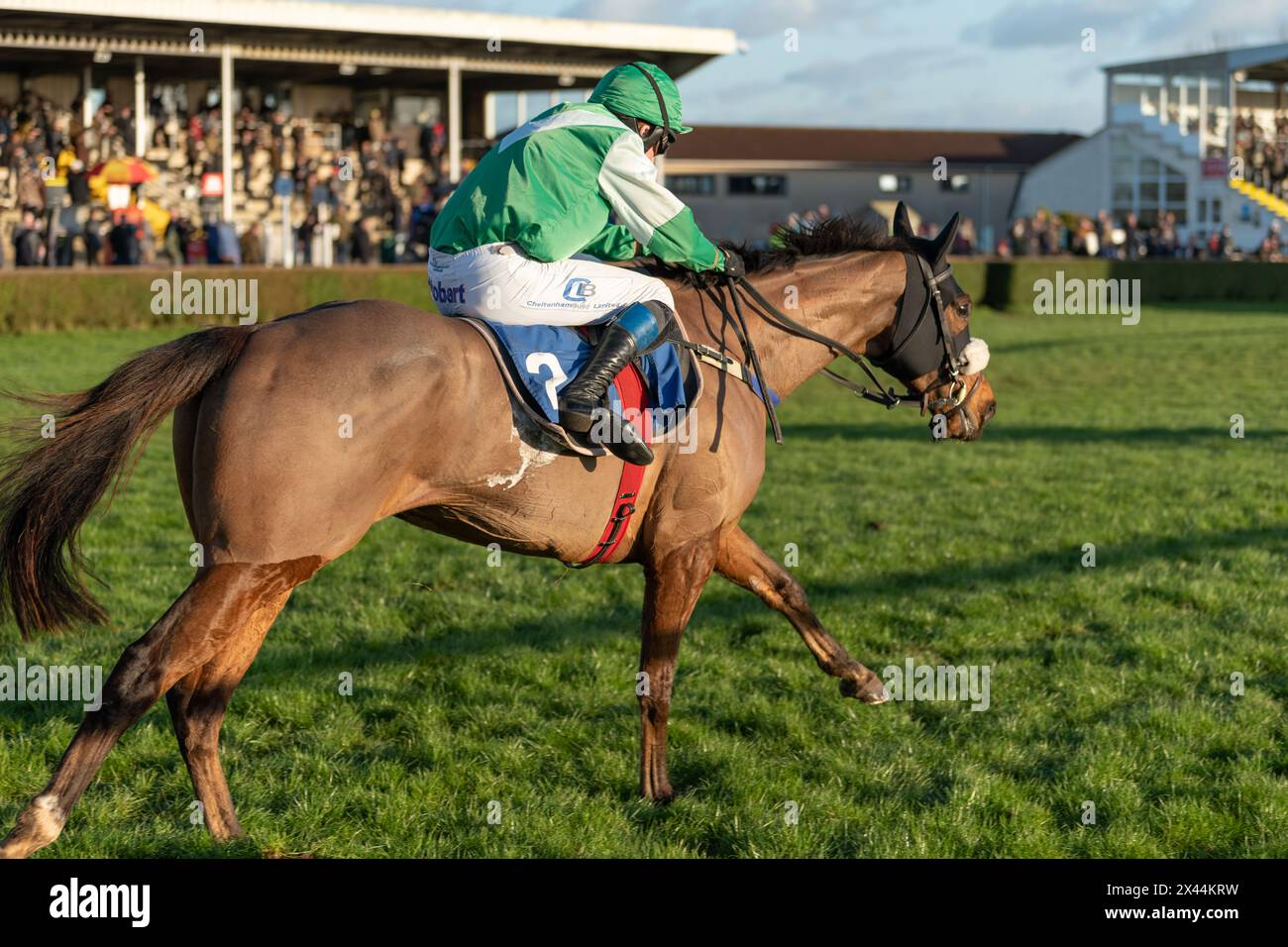 Fifth race at Wincanton - handicap steeple chase, Thursday, January ...