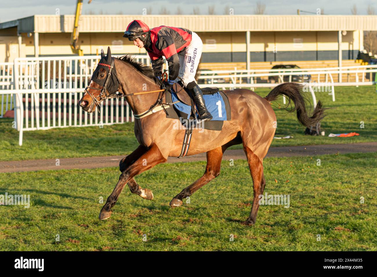 Colorado doc trained by david brace hi-res stock photography and images - Alamy