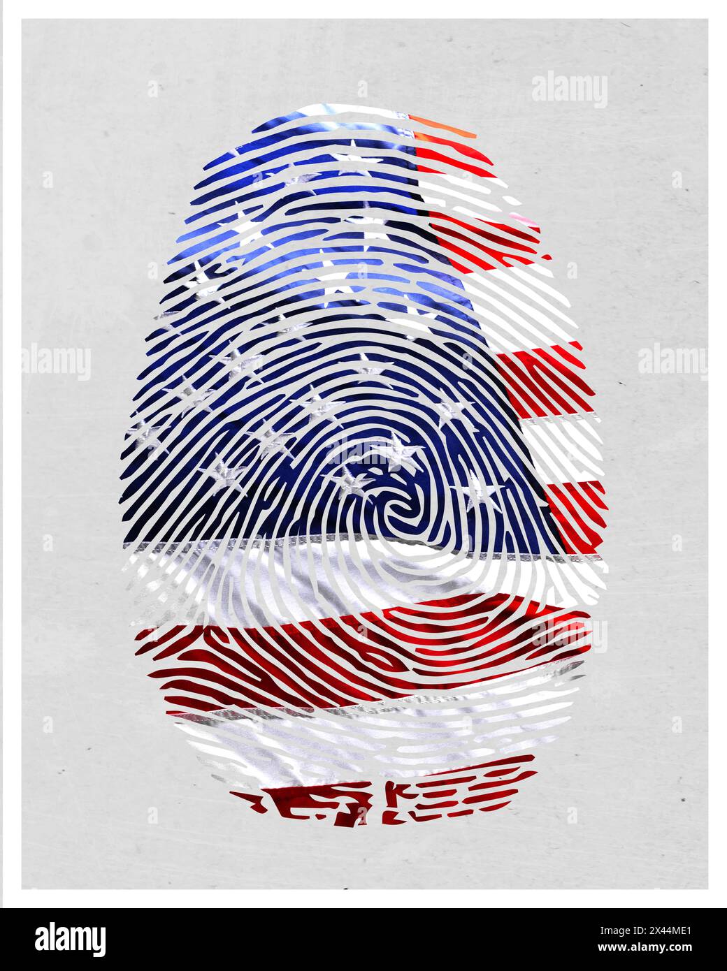 Symbolic touch of patriotism. Fingerprint with American flag colors ...