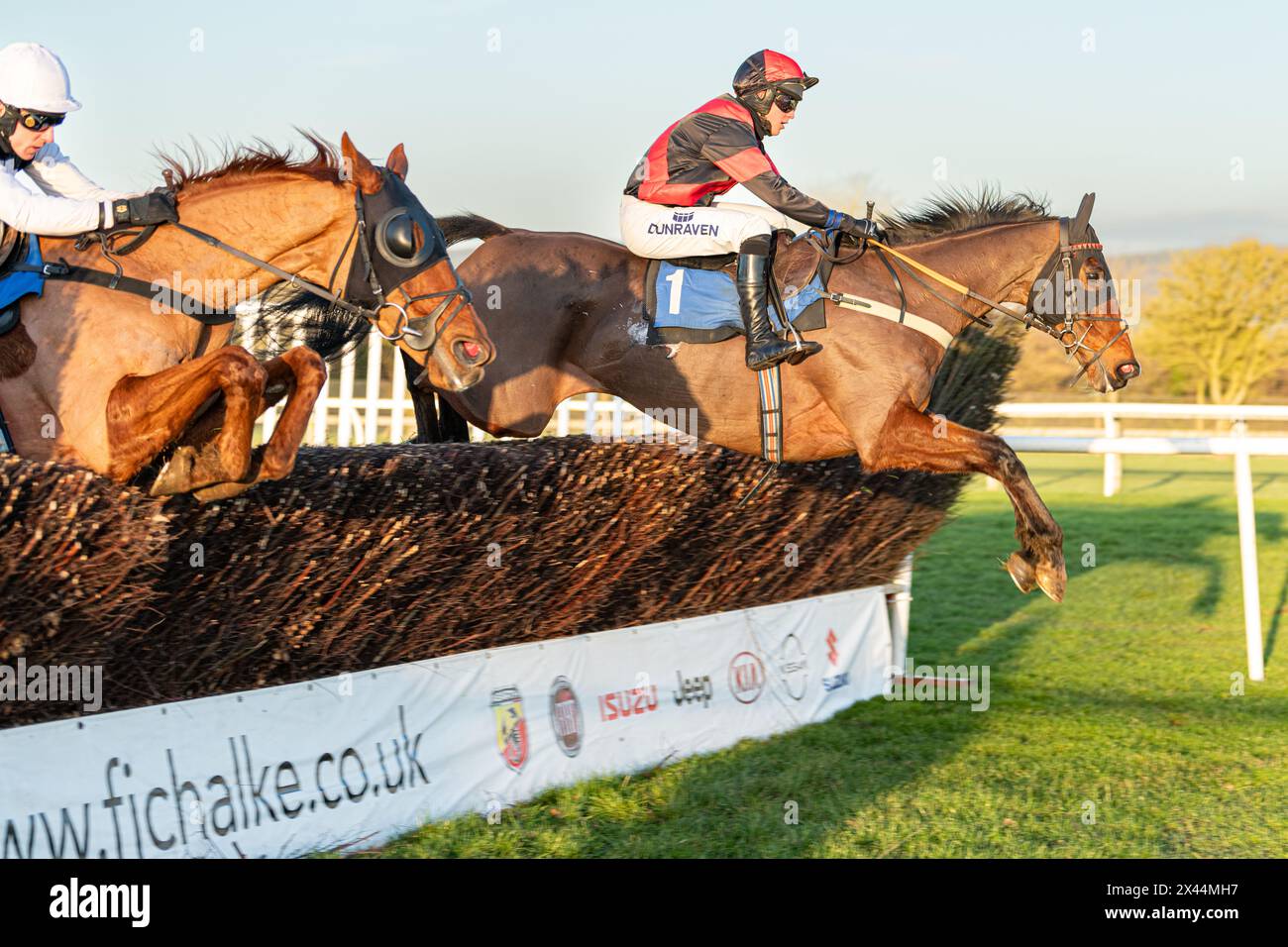 Sixth race at Wincanton - Handicap Steeple Chase - Thursday January ...