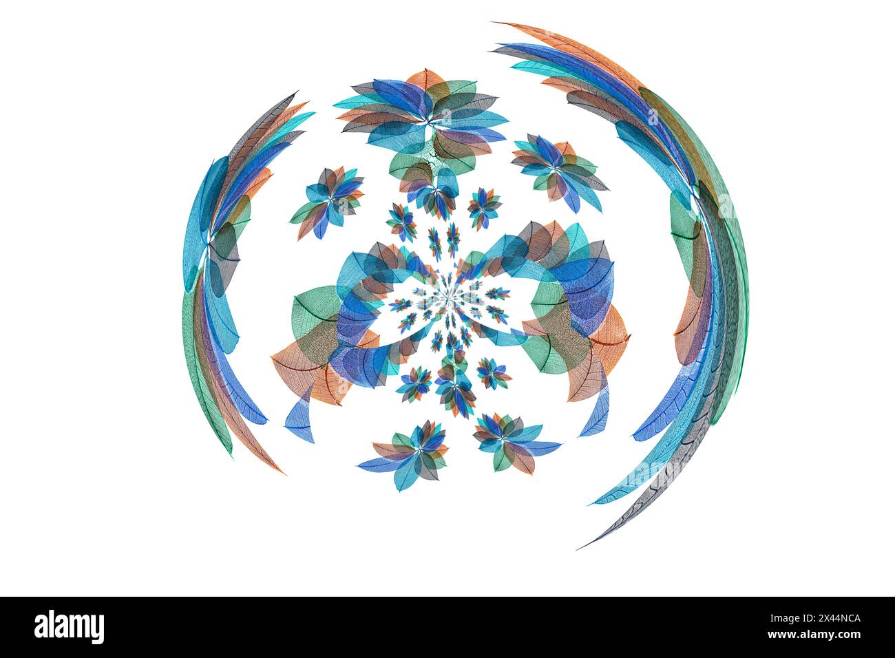 Multi-colored skeleton leaves arranged on white background Stock Photo ...