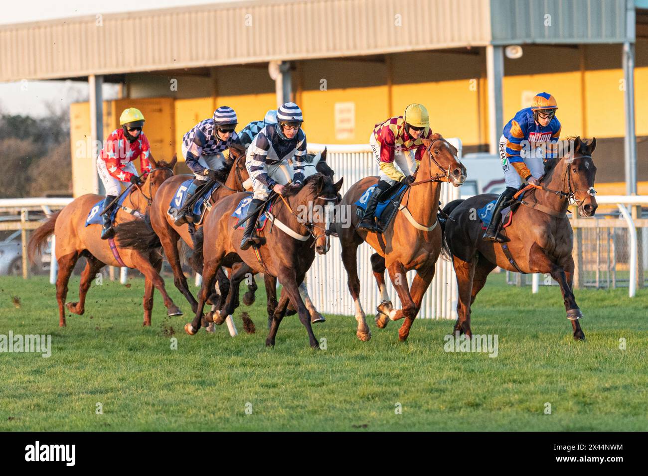 National Hunt flat race, race 7, at Wincanton, Thursday January 20th ...