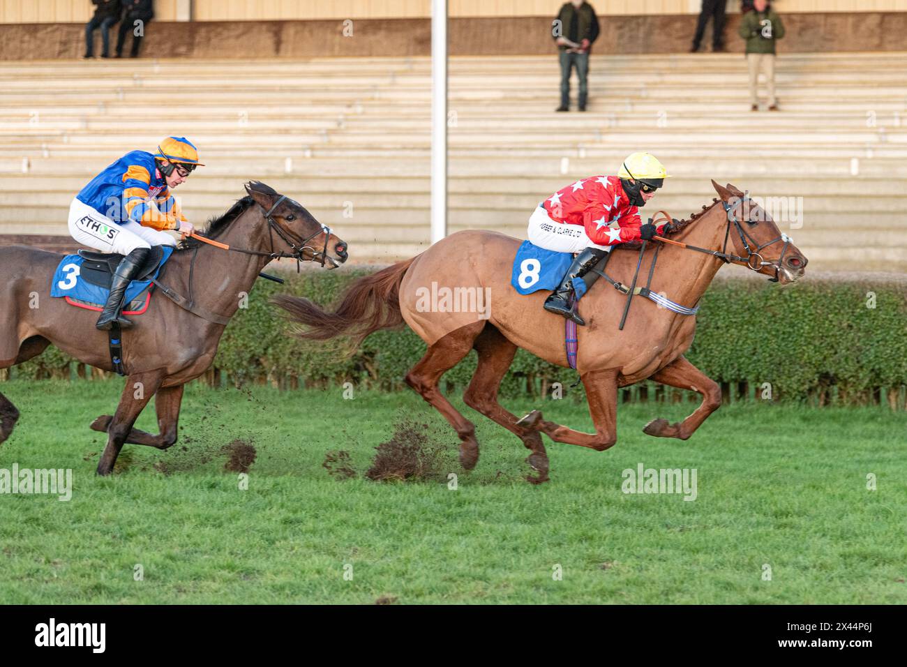 National Hunt flat race, race 7, at Wincanton, Thursday January 20th ...