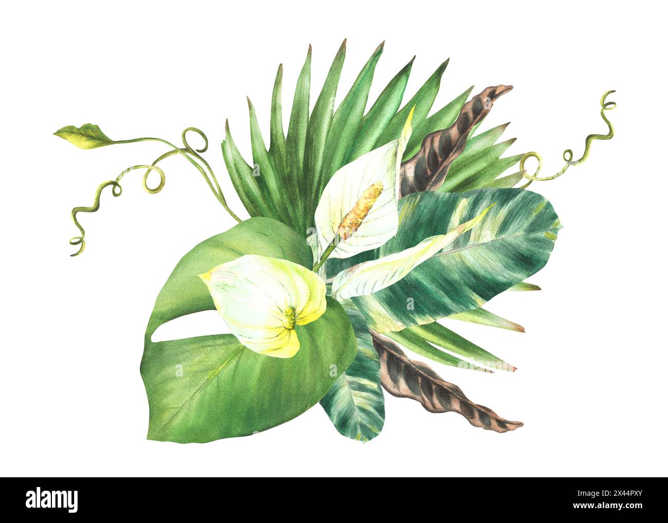 Tropical botanical bouquet, anthurium flowers, palm leaf, calathea ...