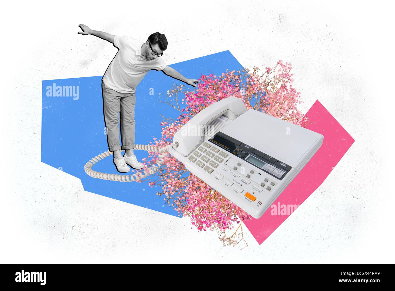 Trend artwork collage of spring season flower plant black white ...