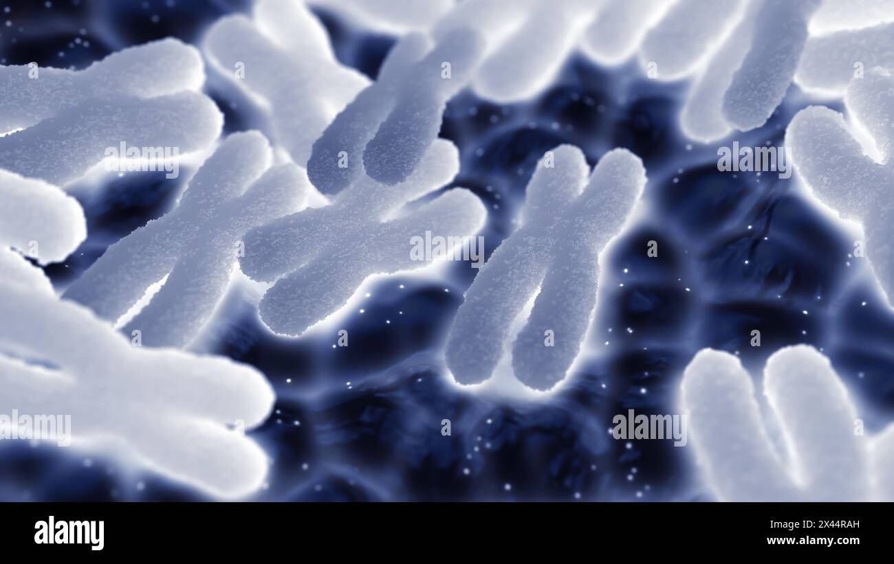Chromosomes are thread-like structures in which DNA is tightly packaged ...