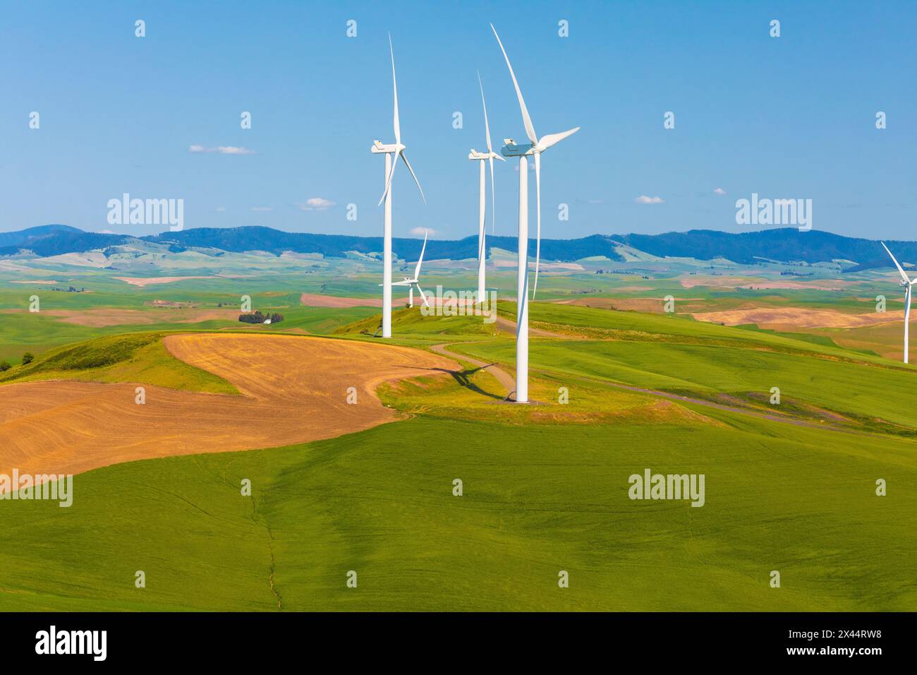 USA, Washington State, Palouse. Oakesdale. White wind turbines ...