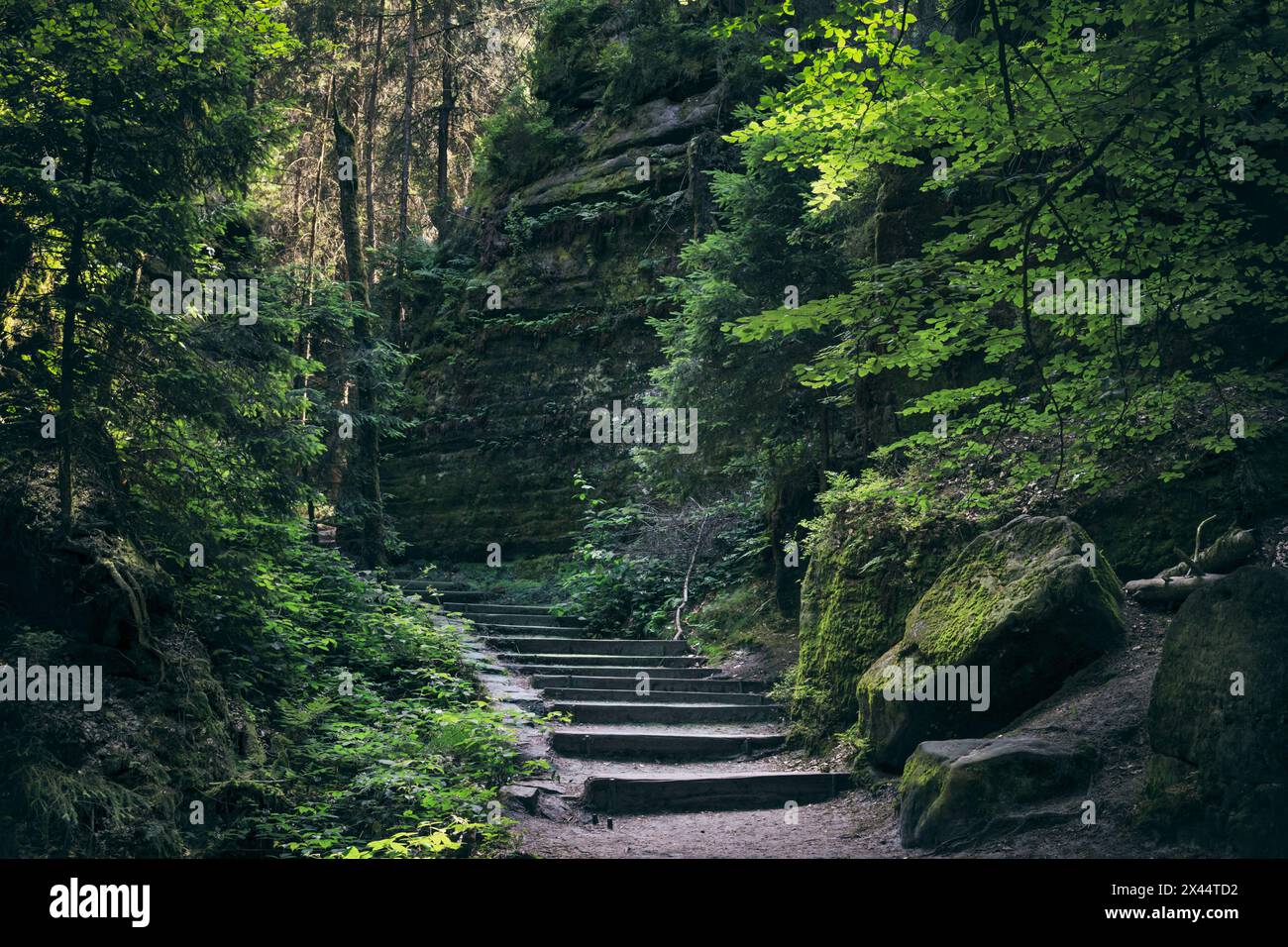 Natural landscape - view of stairs between rocks on a mountain path in ...