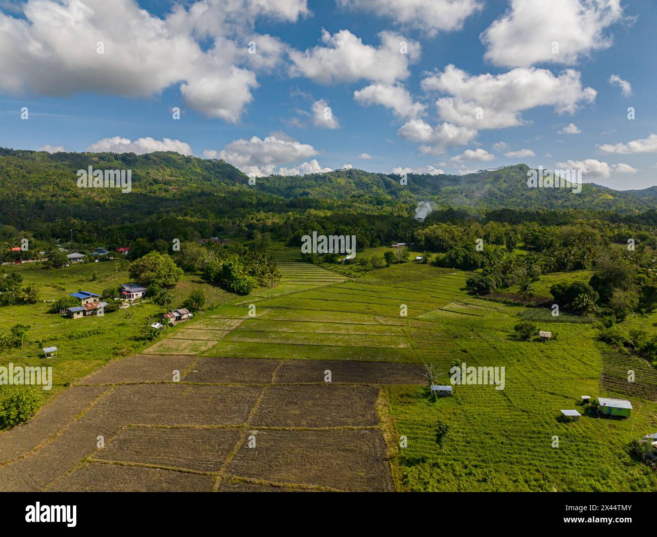 Farmland and mountains with green forest. Mindanao, Philippines Stock ...
