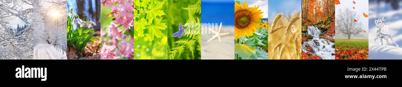 Set of beautiful photos of nature in winter, spring, summer and autumn ...