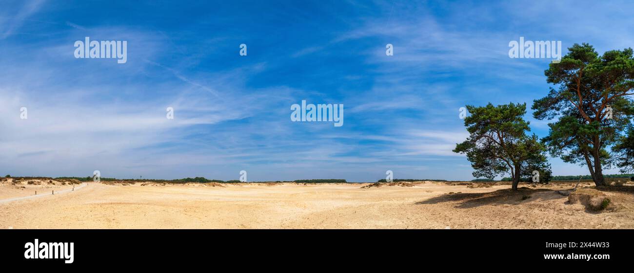 Sand drift in the Balloerveld nature reserve in the municipality of Aa ...