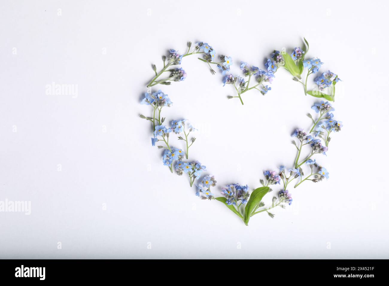Heart made with beautiful forget-me-not flowers on white background ...