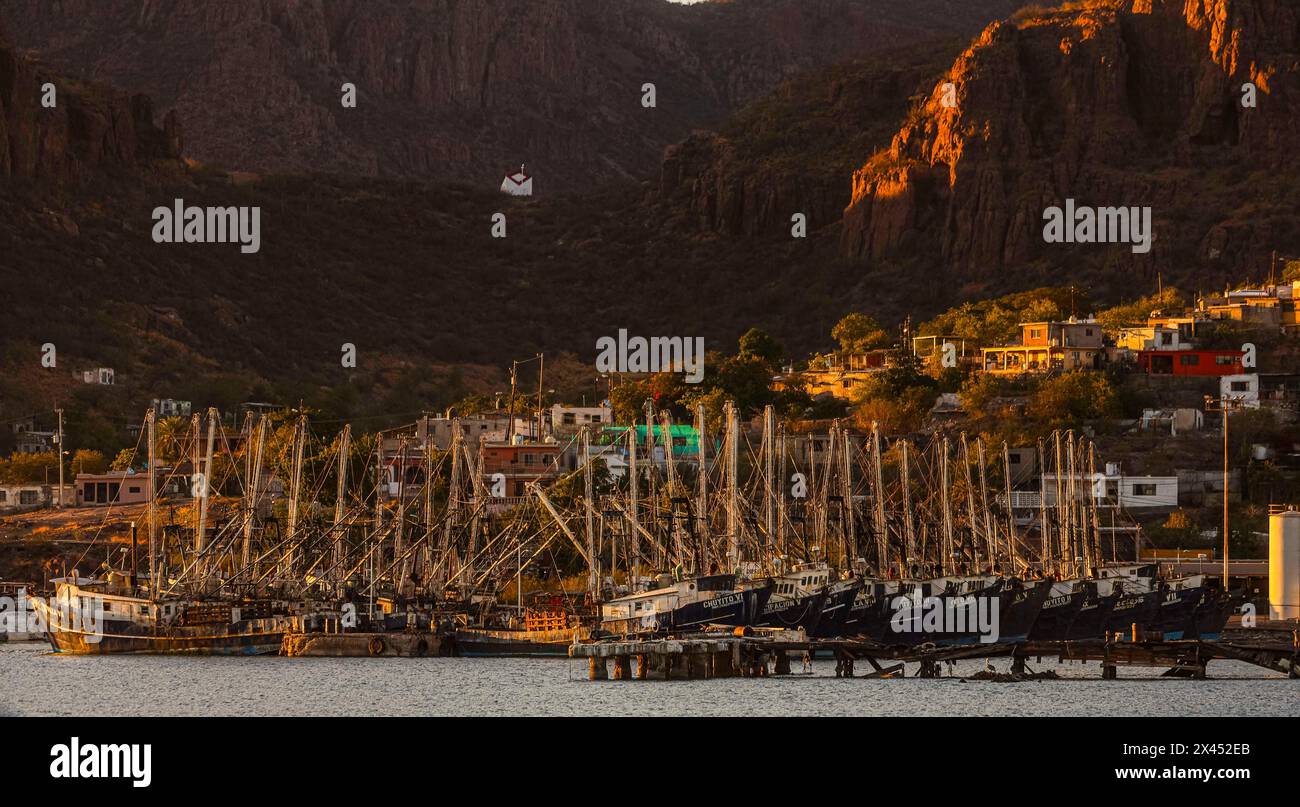 Maritime terminal and port of the transportation or transportation ...