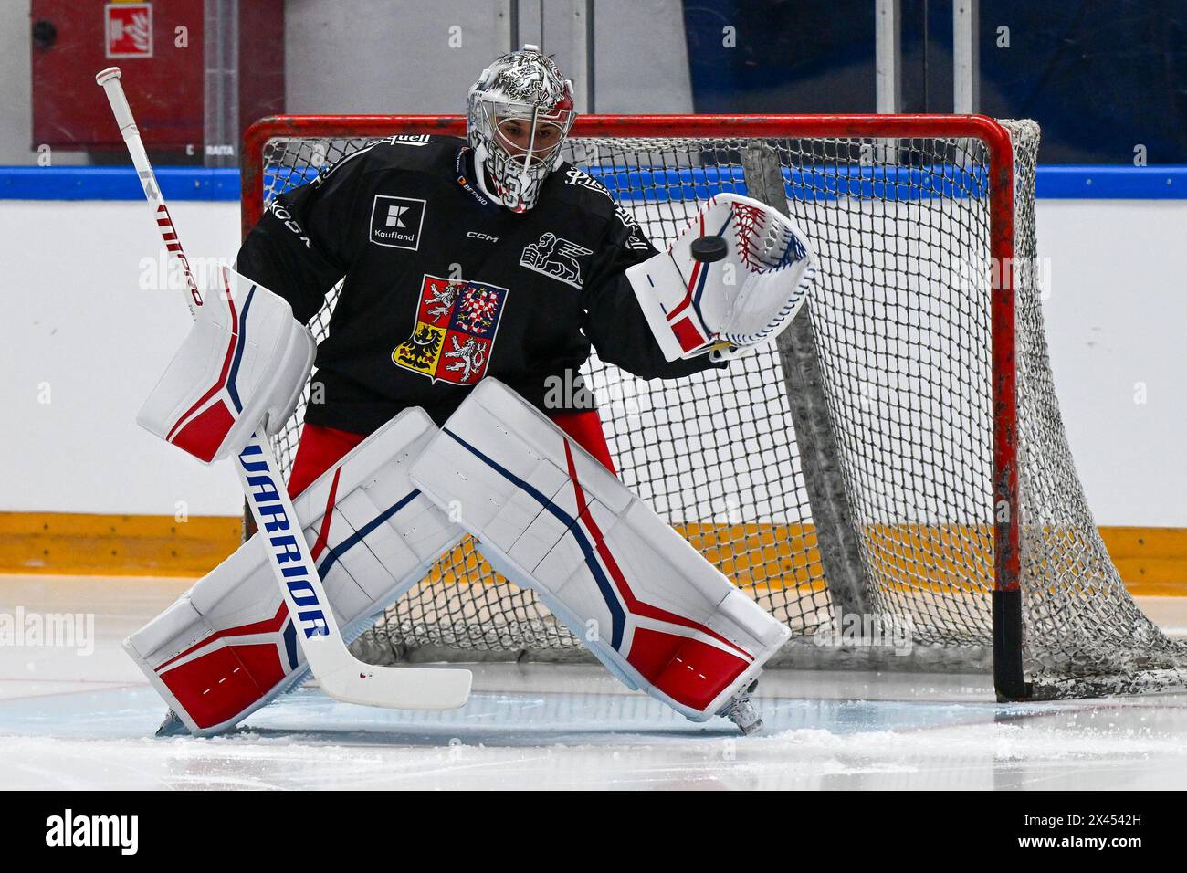 Brno, Czech Republic. 30th Apr, 2024. Goalkeeper Petr Mrazek at the ...