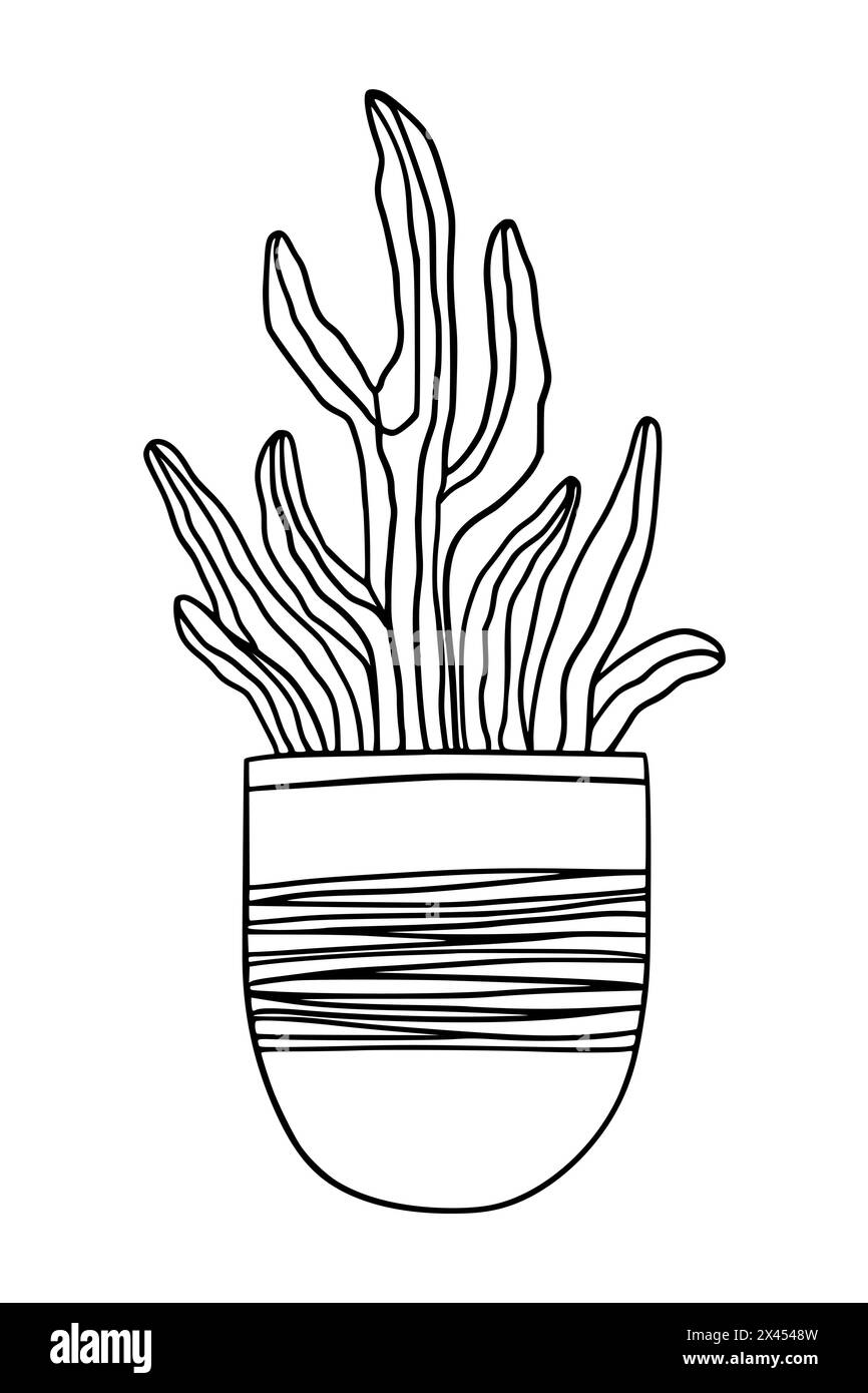 Indoor potted cactus plant drawing. Cute succulent for house garden ...