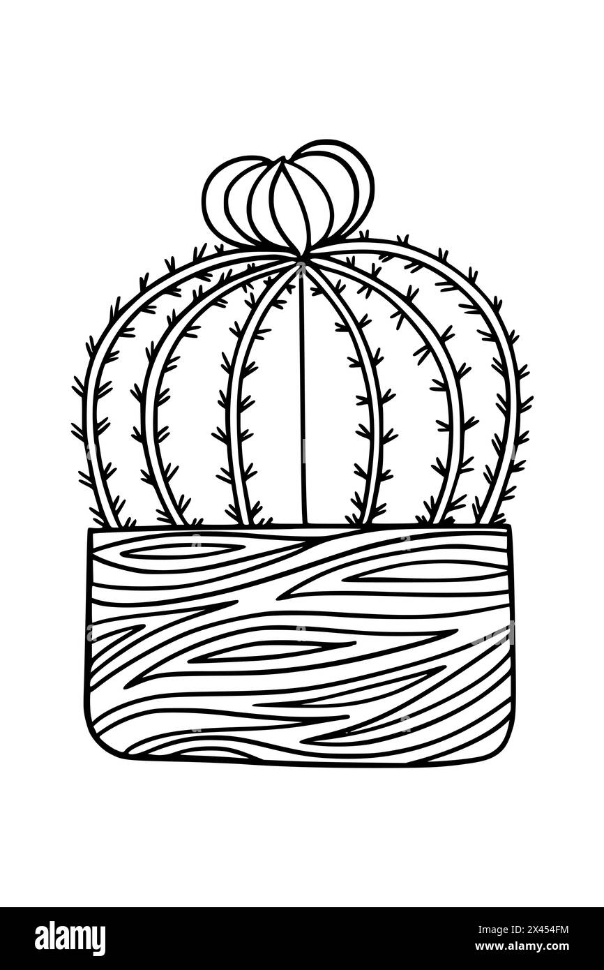 Indoor potted cactus plant drawing. Cute succulent for house garden ...