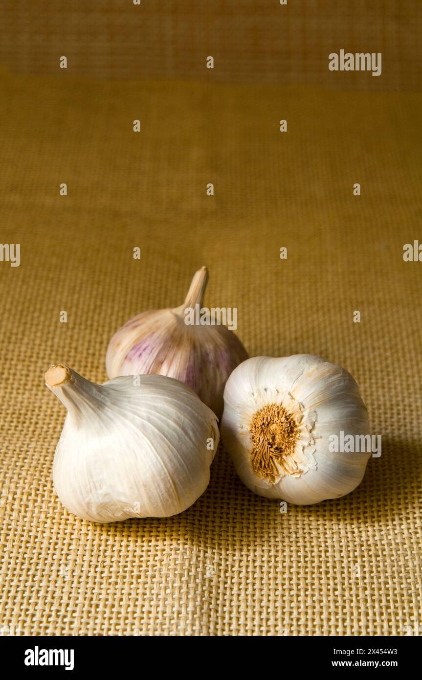 Three garlics. Still life Stock Photo - Alamy