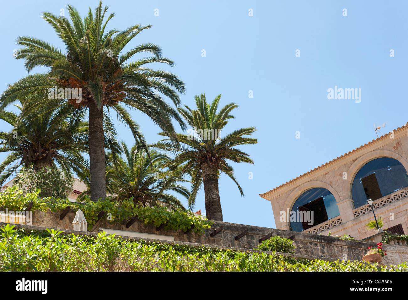 Palmen und promenade hi-res stock photography and images - Alamy