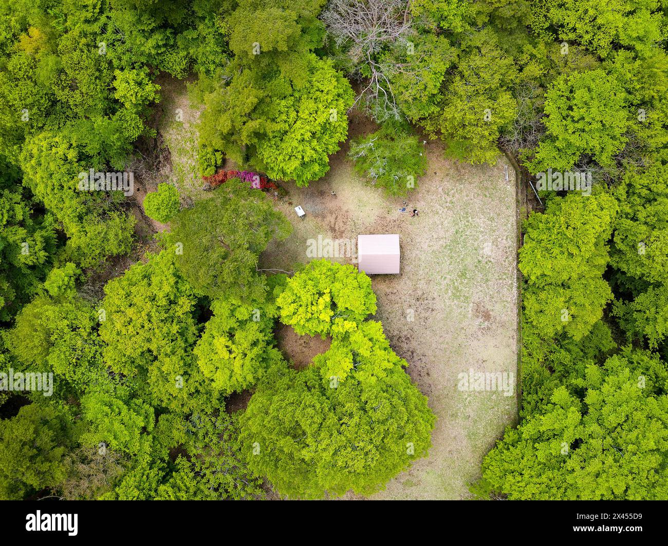 Birds eye aerial view of an observation deck in the middle of a lush ...