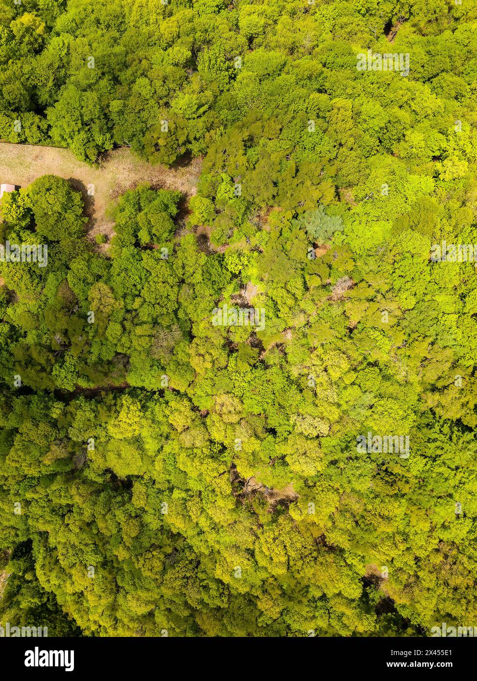 Vertical view mount fuji hi-res stock photography and images - Alamy