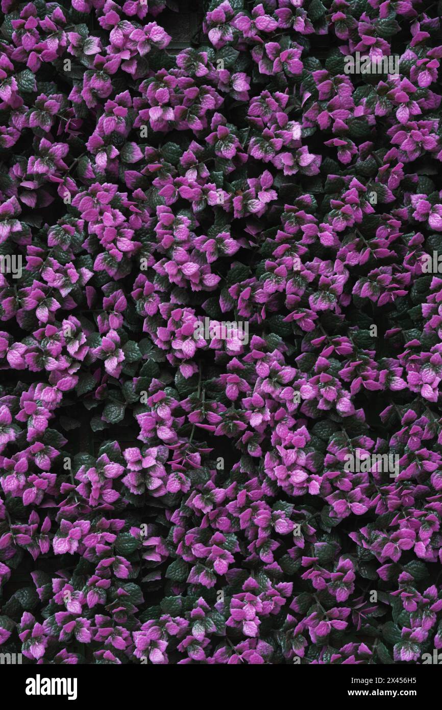 Nature Textures Unveiled: A Collection of Authentic Textures, From the ...