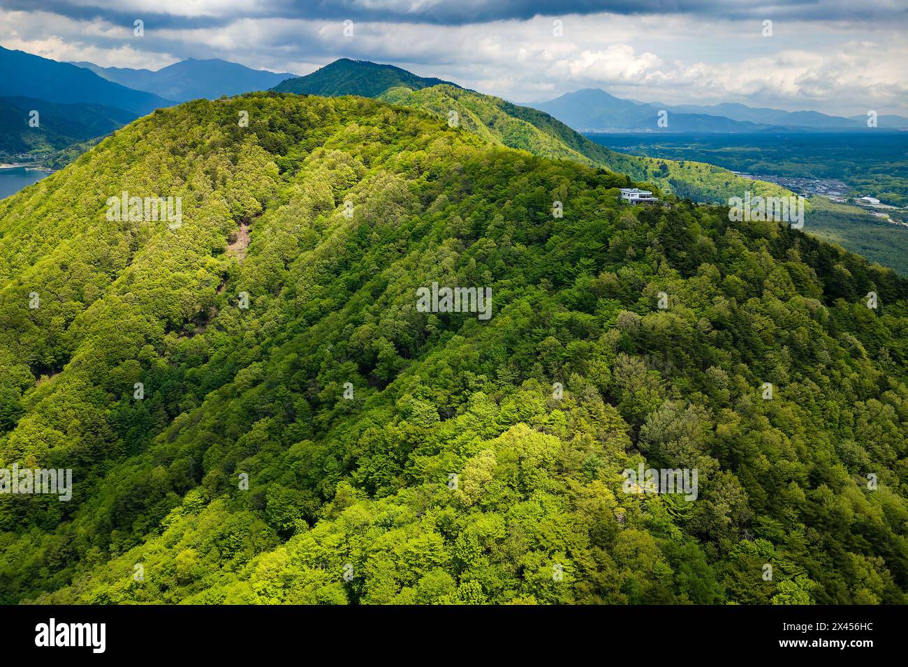 Aerial view of lush forest, mountains and an observation point above a ...