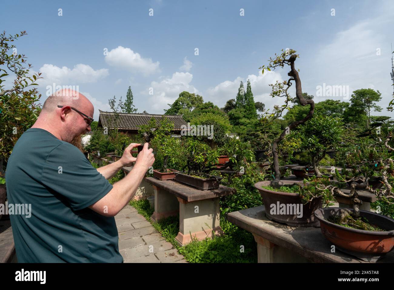 Chengdu. 21st Apr, 2024. Chad Sinclair visits a bonsai garden in ...