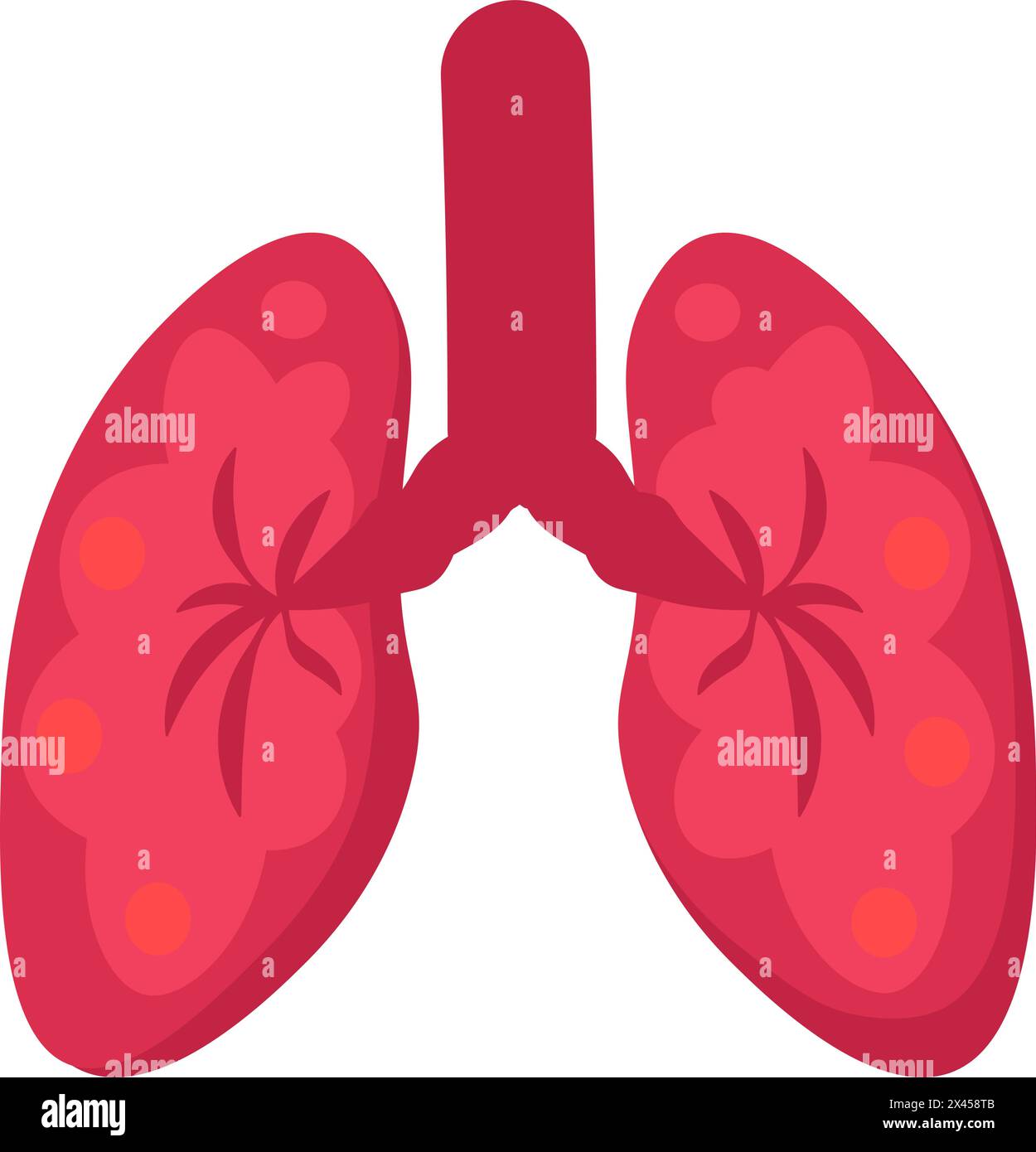 Lungs of healthy person icon. Respiratory system organs, medical ...