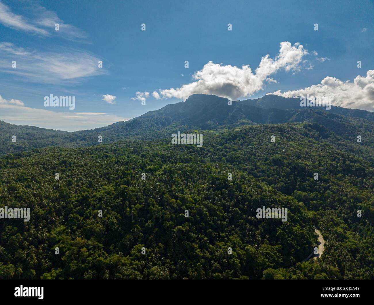Scenic landscape of mountain with green forest in Camiguin Island ...
