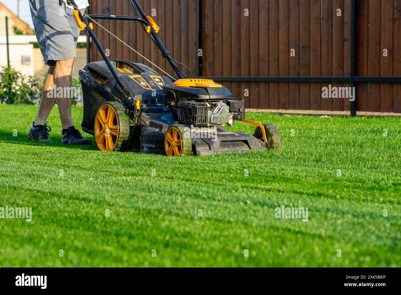 green grass cutting with lawn mower in home garden Stock Photo - Alamy