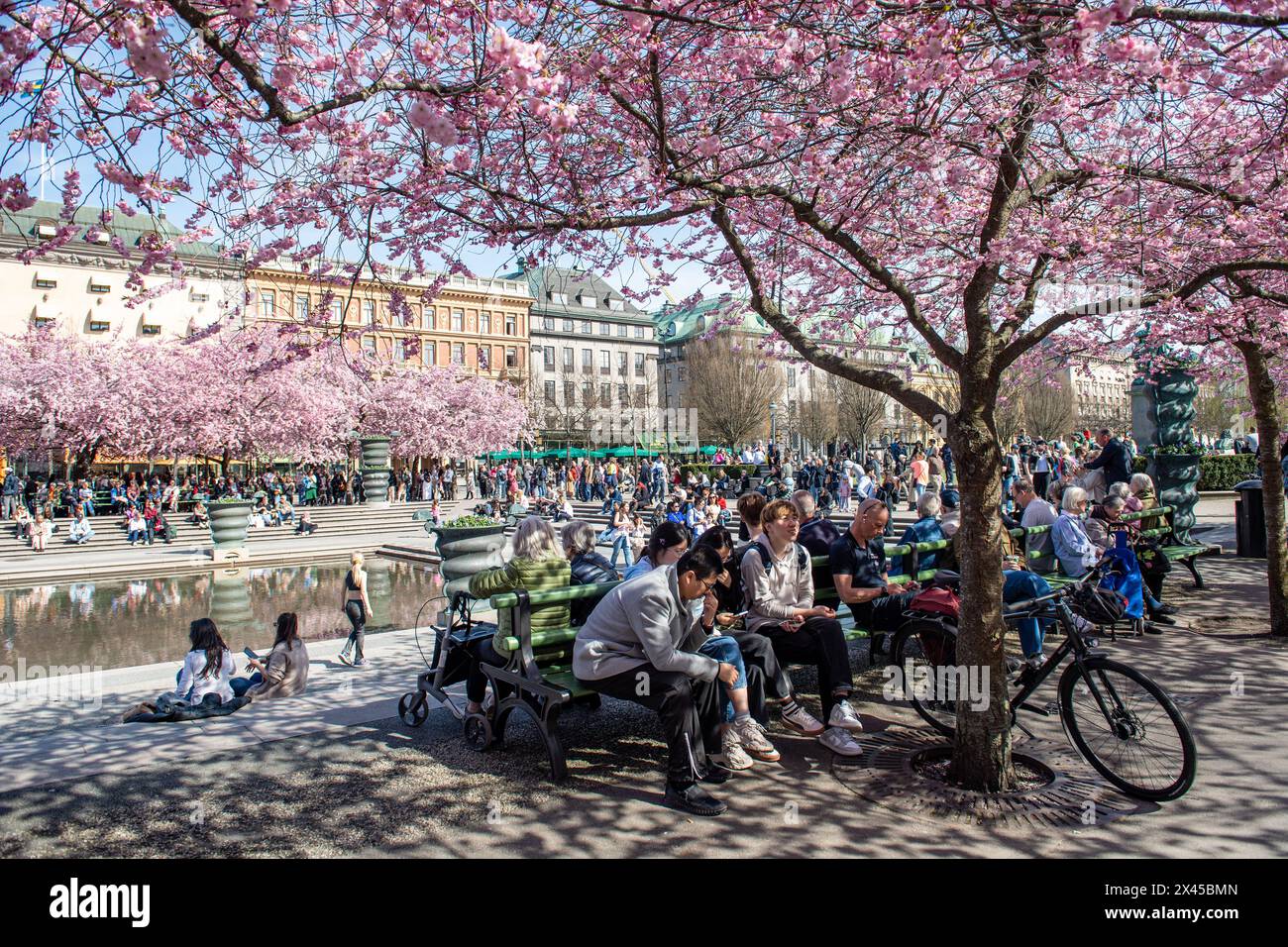 Lund in Southern Sweden 30 April 2024. Spring has finally arrived in ...