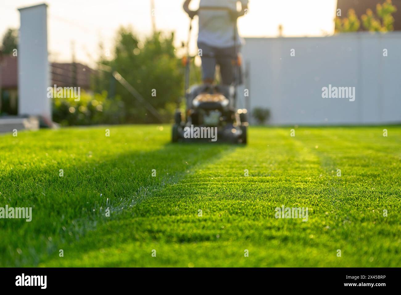 green grass cutting with lawn mower in home garden Stock Photo - Alamy