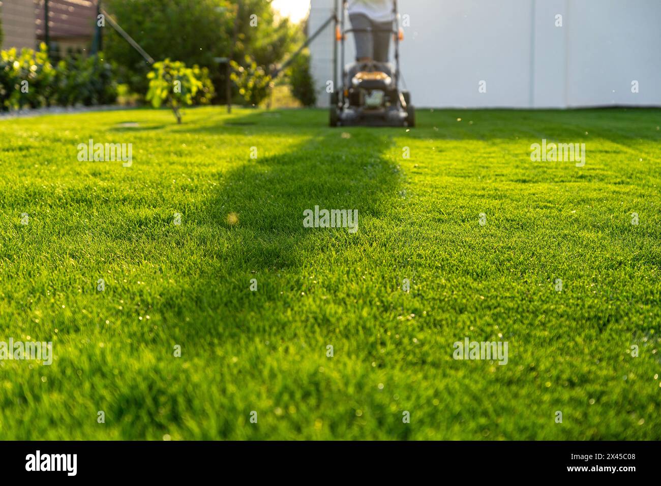 green grass cutting with lawn mower in home garden Stock Photo - Alamy