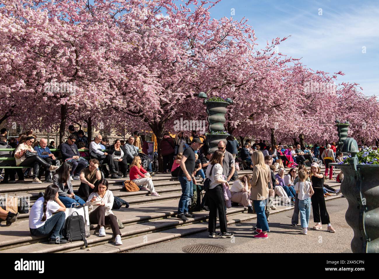 Lund in Southern Sweden 30 April 2024. Spring has finally arrived in ...