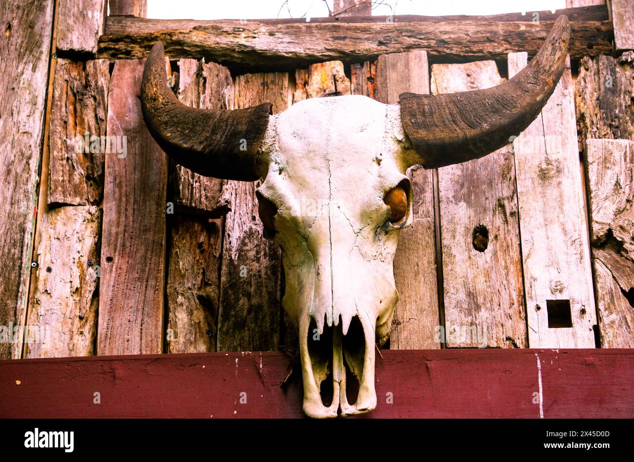 Ancient buffalo clothing hi-res stock photography and images - Alamy