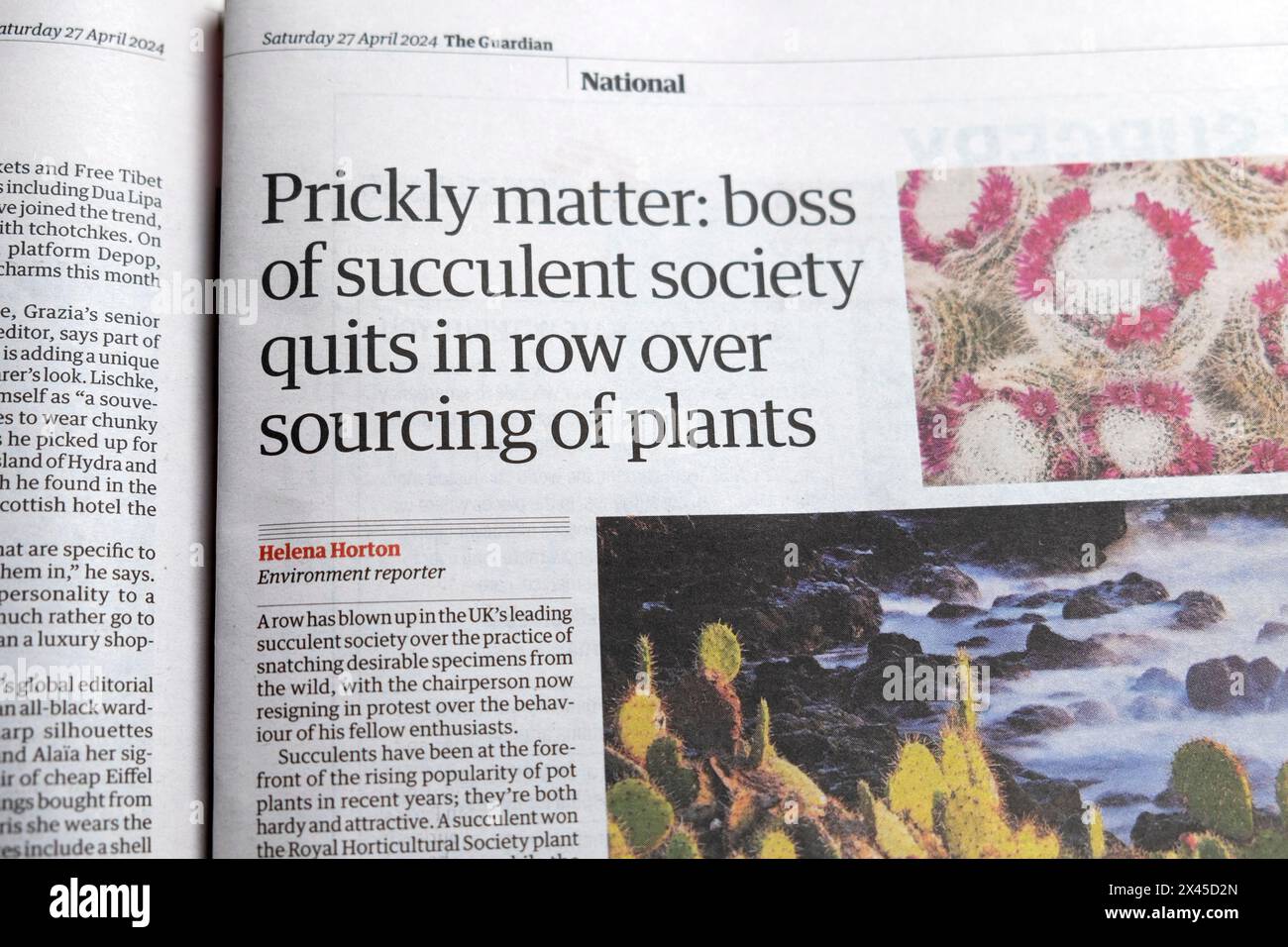 'Prickly matter: boss of succulent society quits in row over sourcing ...