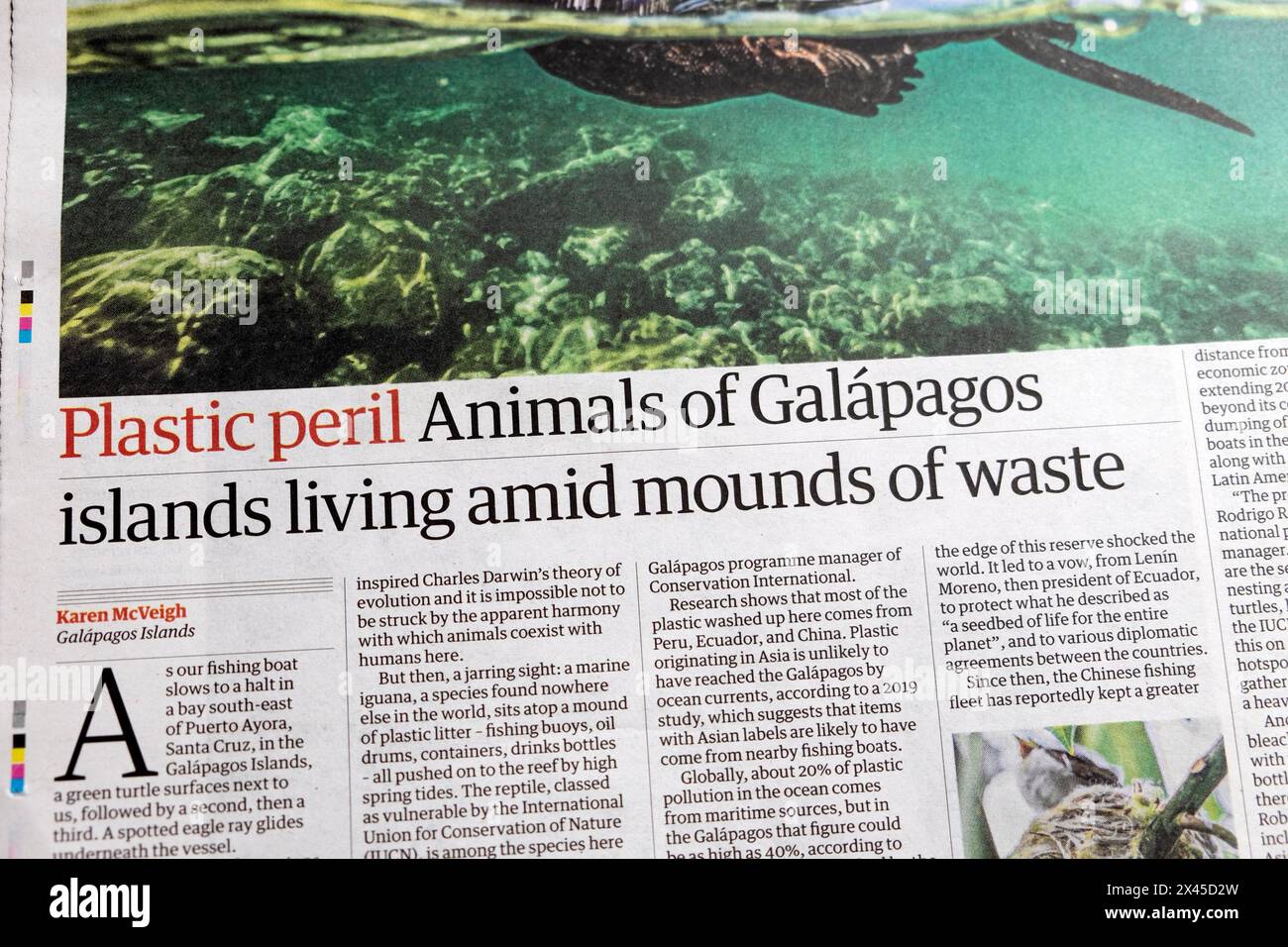 'Plastic peril Animals of Galapagos islands living amid mounds of waste ...