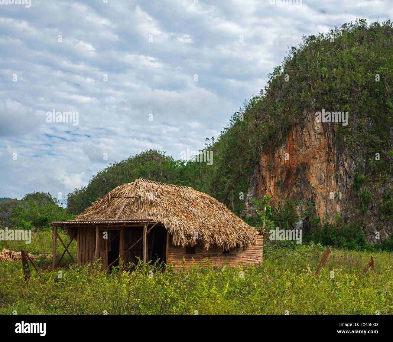 Limestone cabin thatched roof hi-res stock photography and images - Alamy