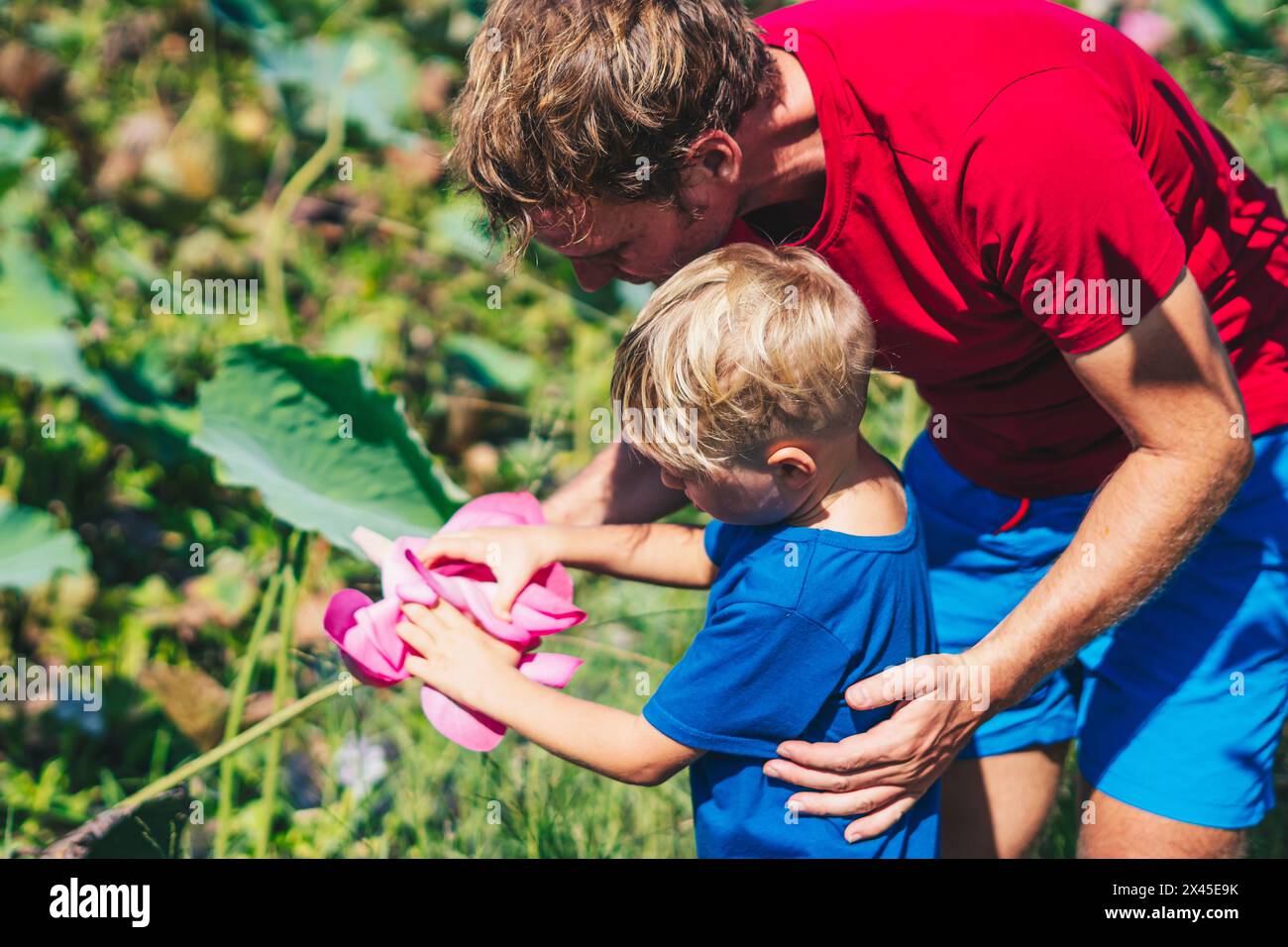 Father son study plants, looking on buds flower bud leaves stamens ...