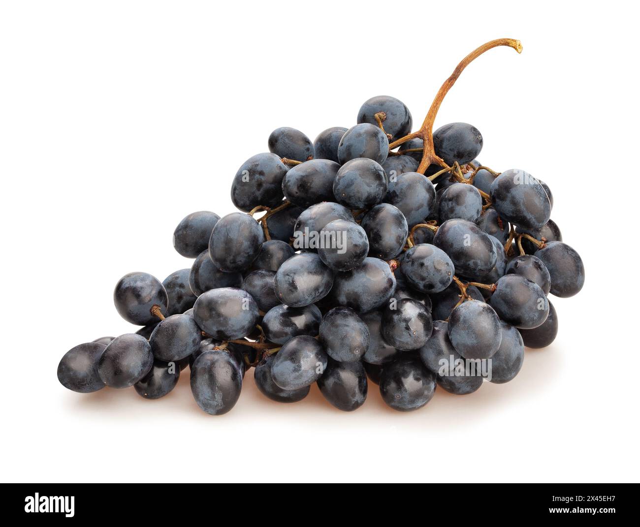 blue grapes path isolated on white Stock Photo - Alamy