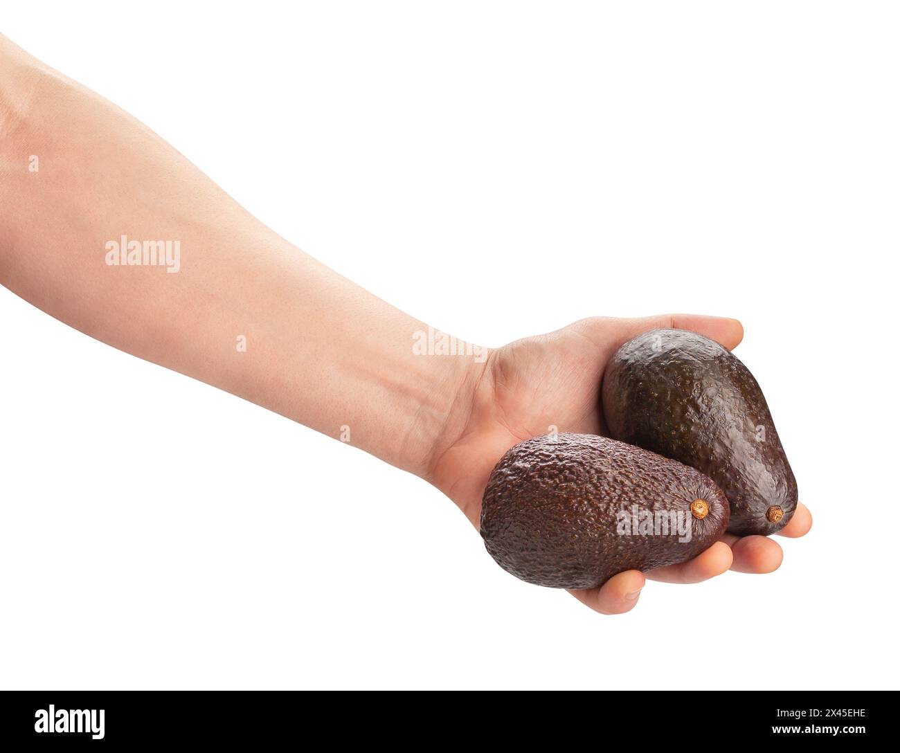 hass avocado in hand path isolated on white Stock Photo - Alamy