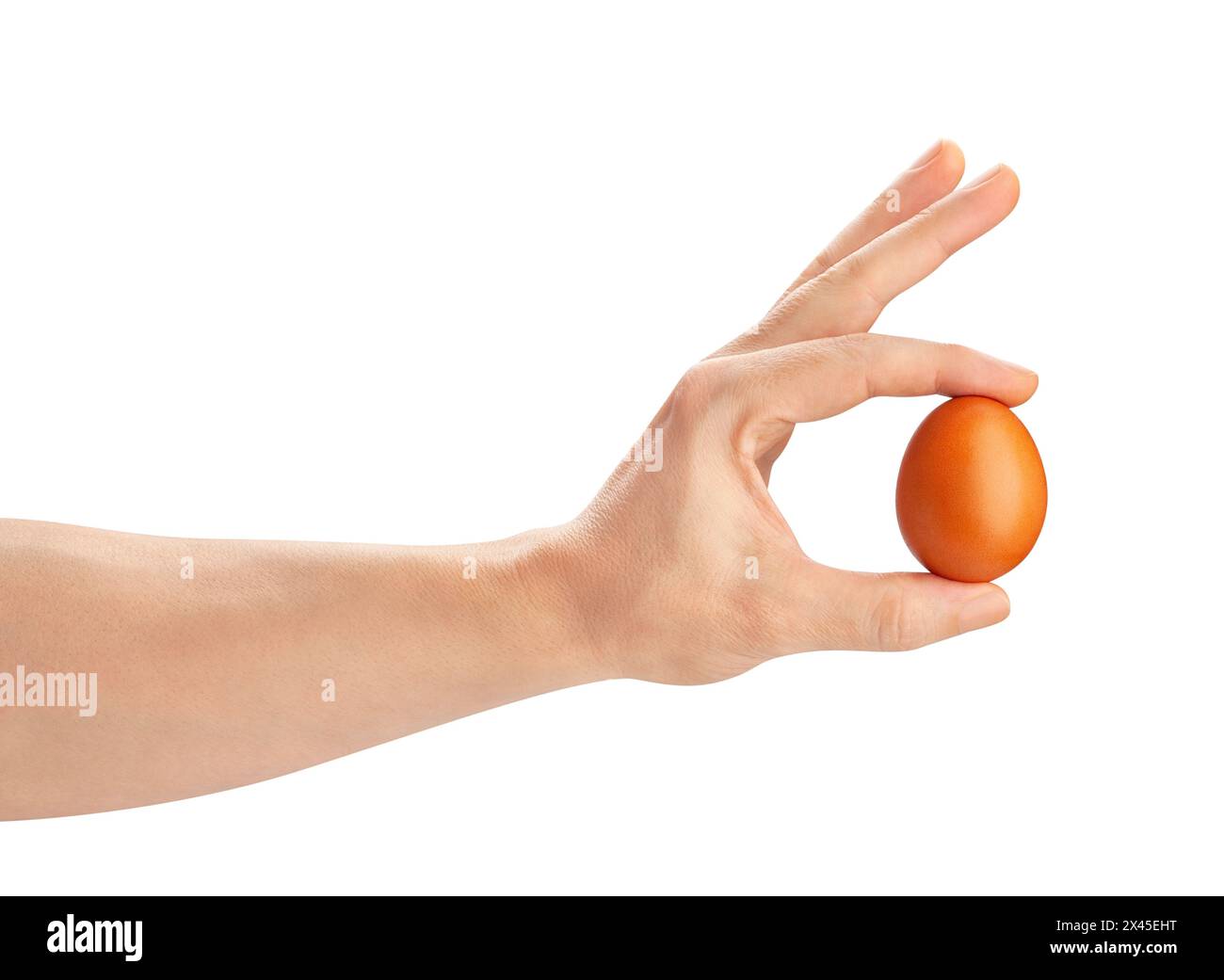 One egg isolated hi-res stock photography and images - Alamy