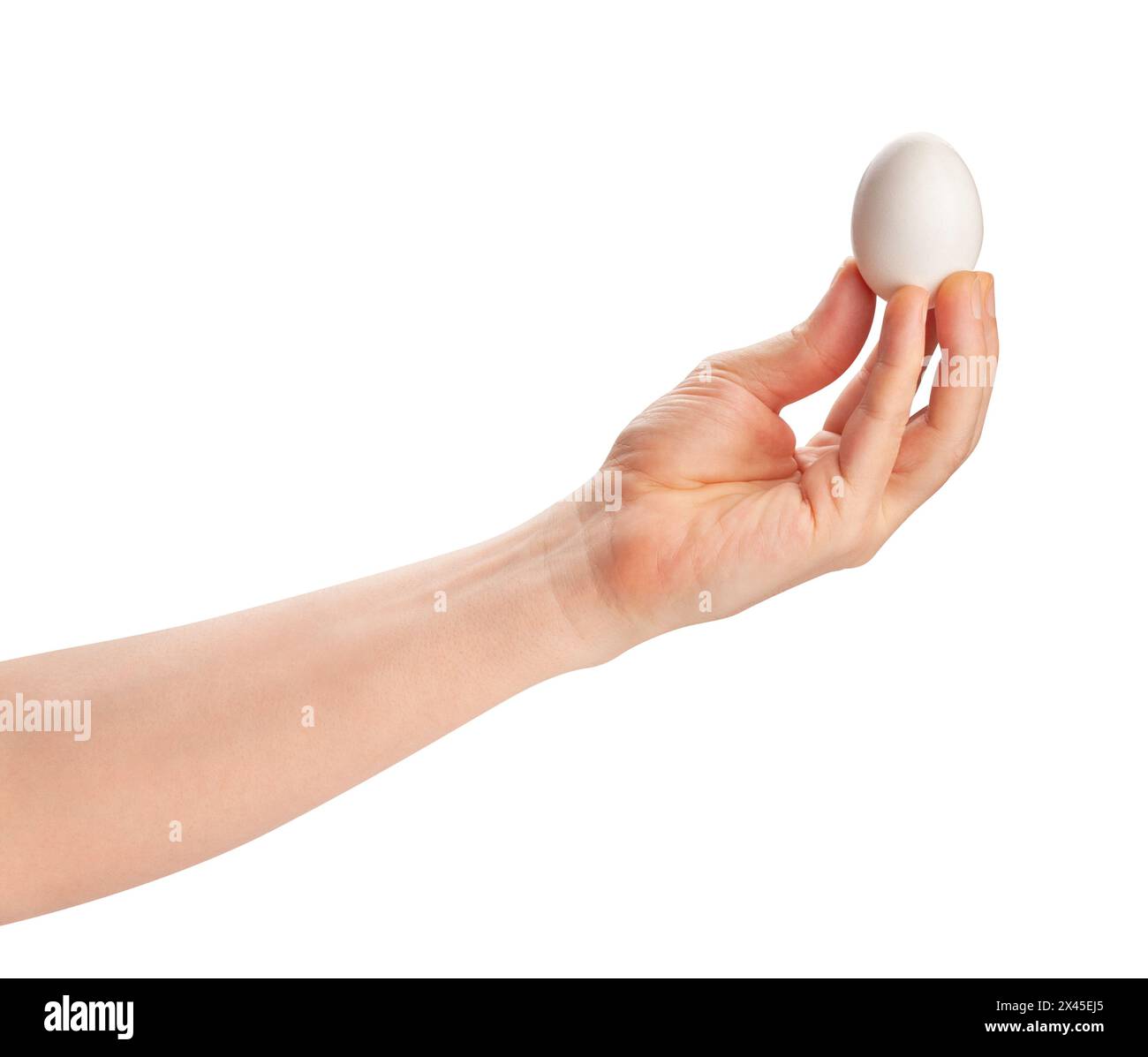 One egg clipping path Cut Out Stock Images & Pictures - Alamy