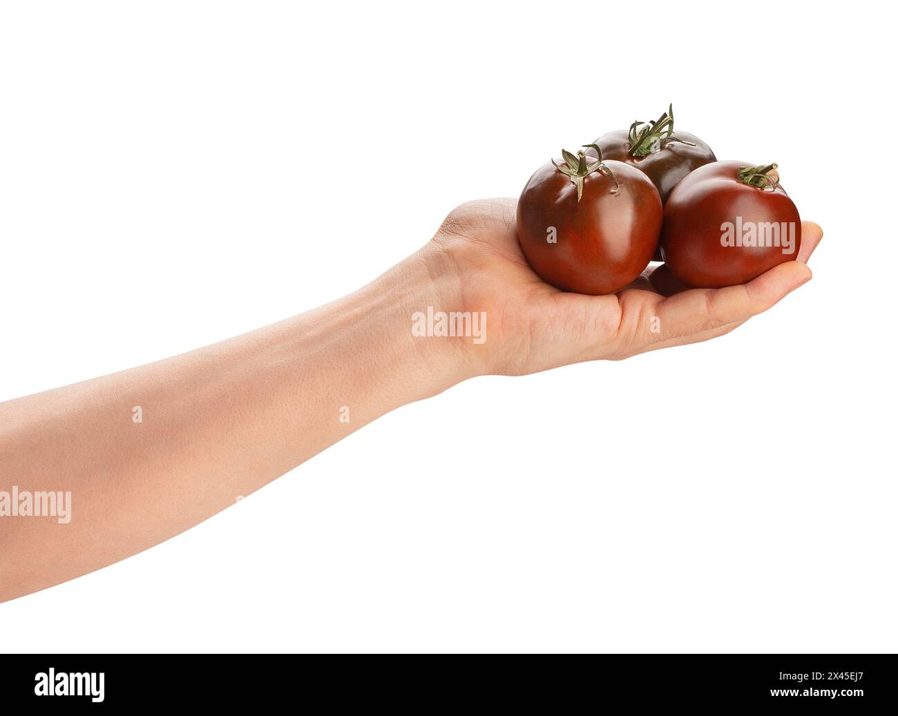 Red tomato in hand hi-res stock photography and images - Alamy