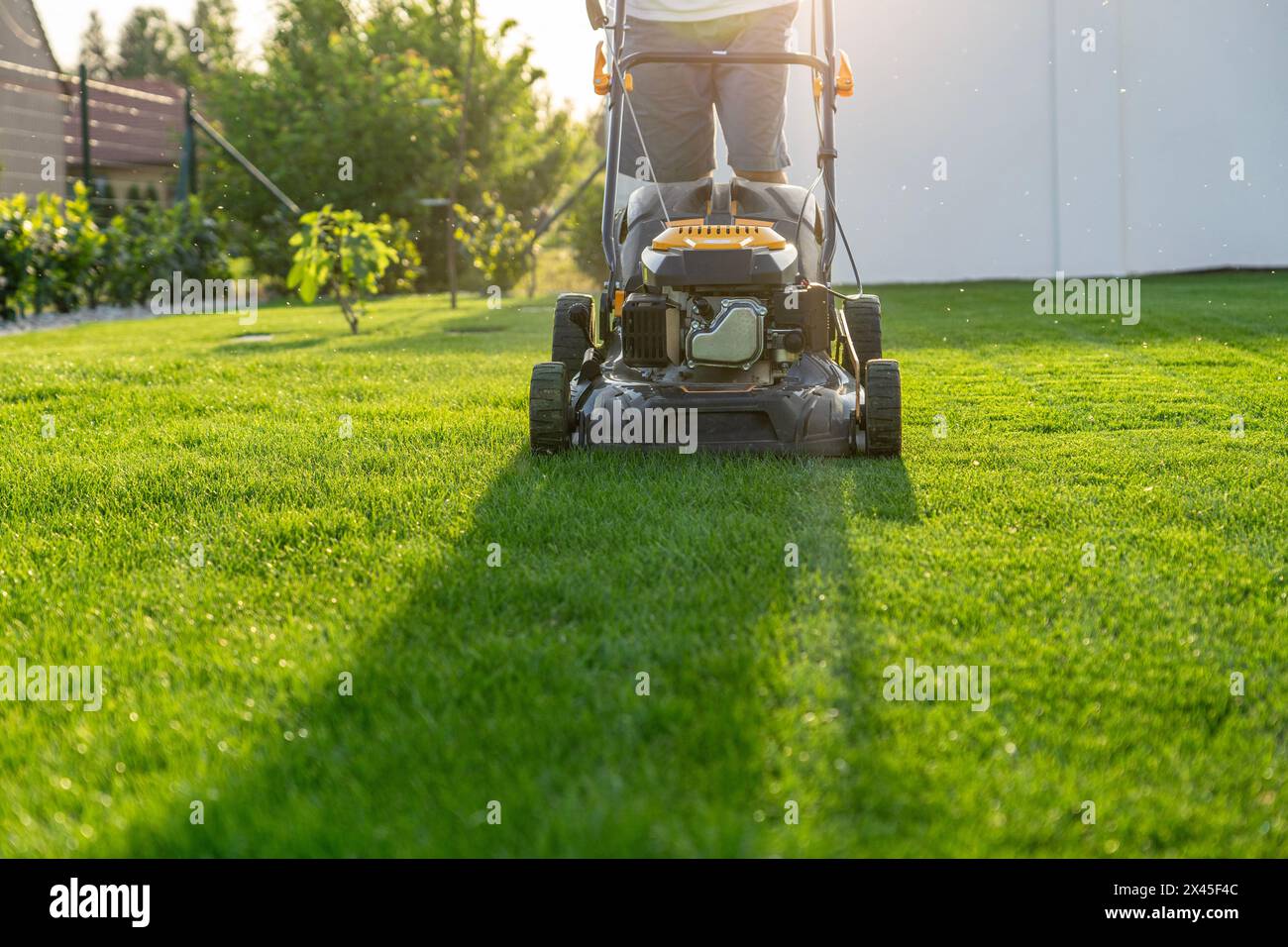 green grass cutting with lawn mower in home garden Stock Photo - Alamy