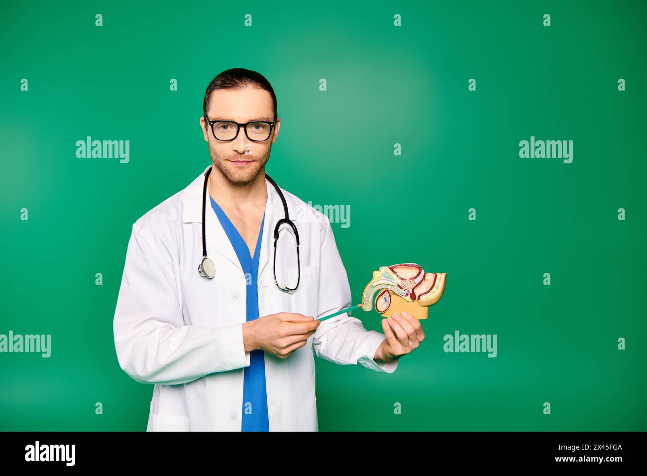 Doctor examining human body in hi-res stock photography and images - Alamy
