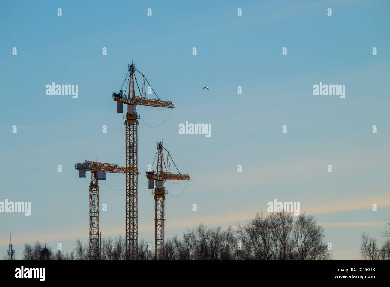 Three tall construction cranes in the distance Stock Photo - Alamy