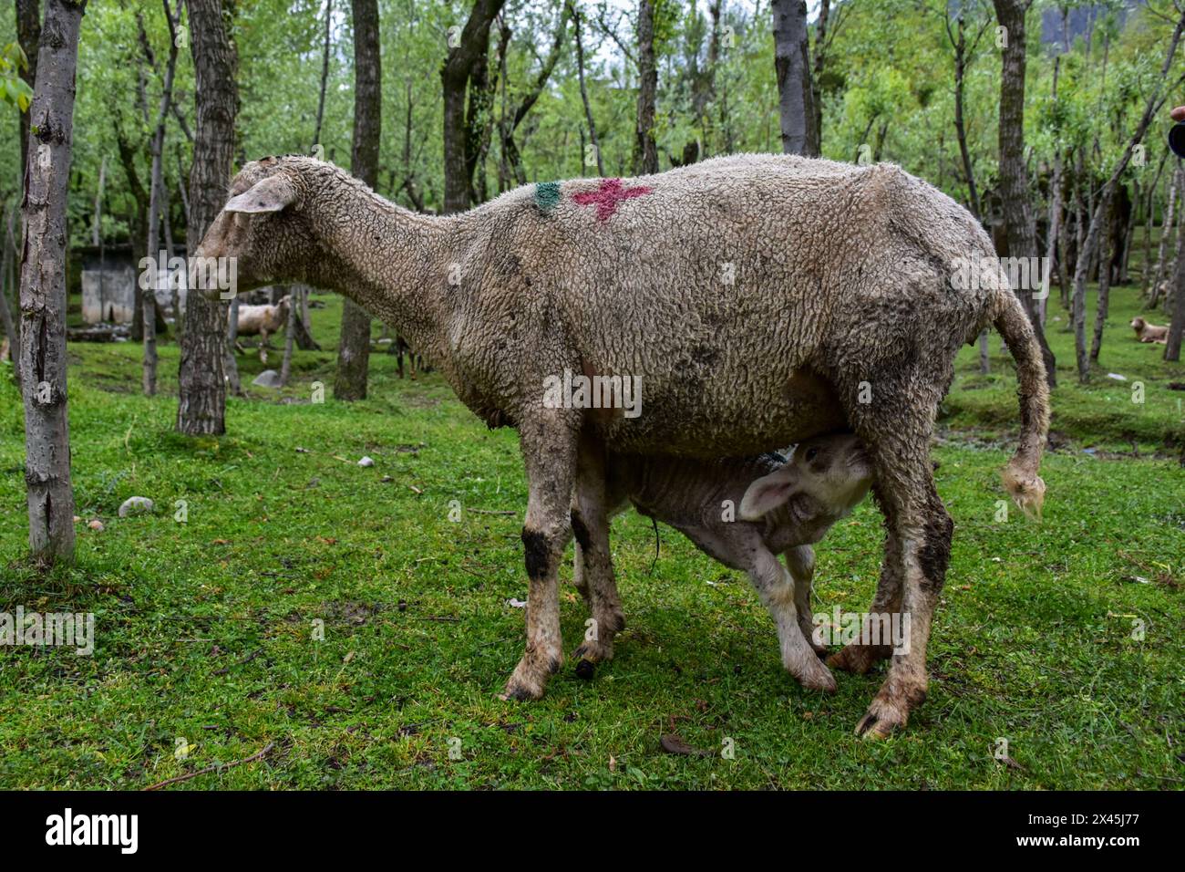 Suspension of classes hi-res stock photography and images - Alamy