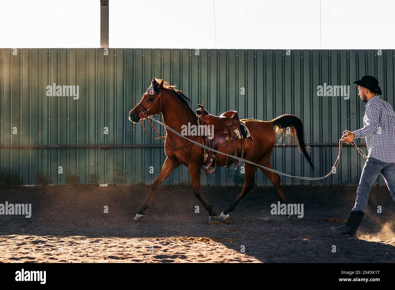 Horse training center hi-res stock photography and images - Alamy